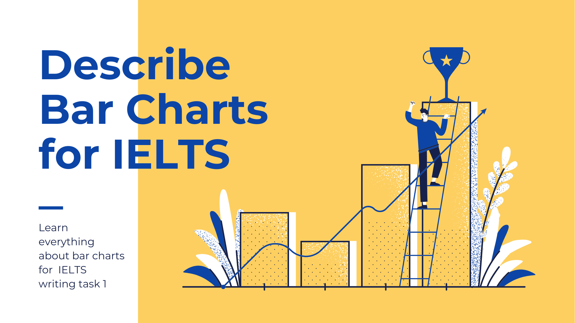 HOW TO DESCRIBE A BAR CHART
